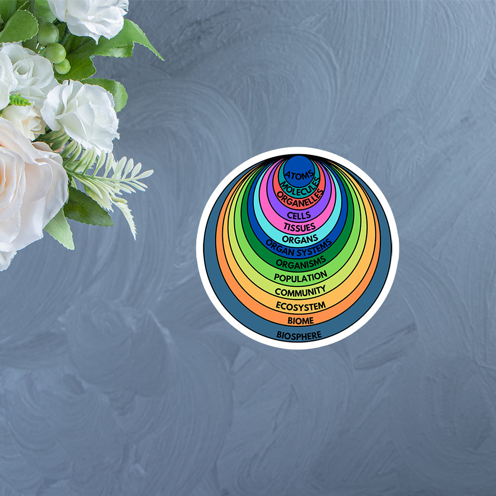 Organization of Biological Levels of Organisms Sticker – ScienceGrit